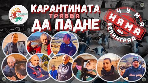 Чума по овцете във Велинград няма Министър Тахов и БАБХ трябва да пуснат животните да пасат