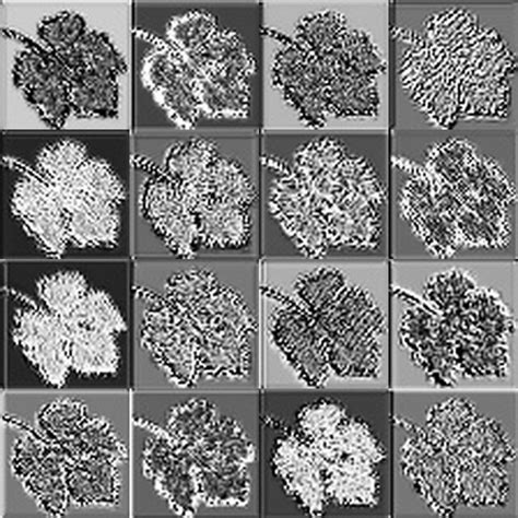 The Feature Map Visualization Of Cifar 10 Samples Ghostnet And