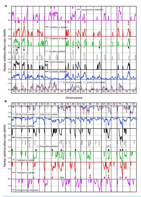 Single Marker Analysis Sma Of Additive Effects Sma Expressed As Download Scientific Diagram