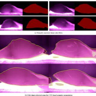 Manually Annotated Shime Saba Fillets And Fillet Shapes Detected Using