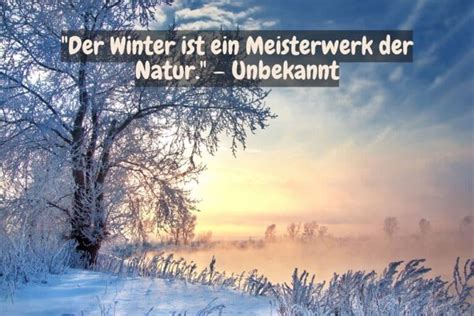 43 Winter Sprüche Zauberhafte Weisheiten