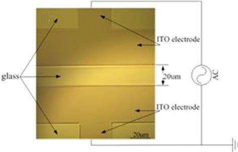 Image Of The Parallel Ito Micro Electrodes Under The Microscope Download Scientific Diagram
