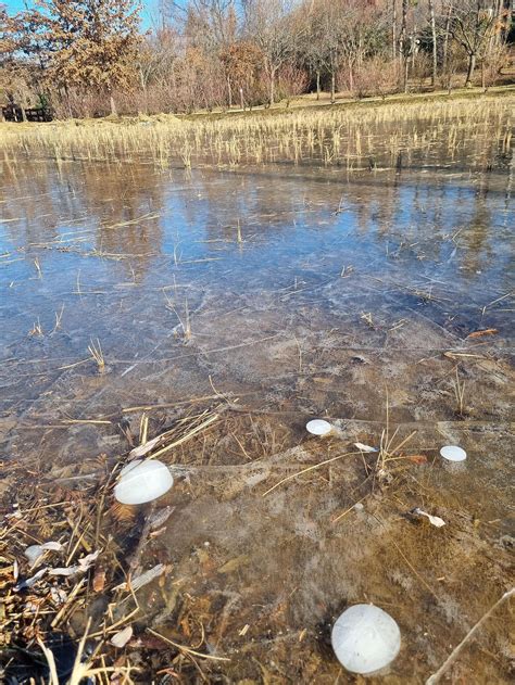 걷기는 풍경 속으로 들어가는 것 푸른수목원 산책