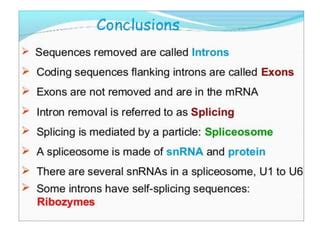 RNA Processing Post Transcriptional Modifications Splicing Capping Poly A Tail RNA Editing