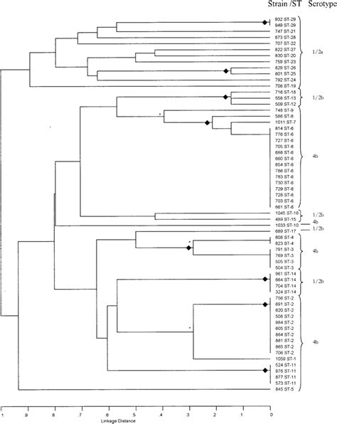 Dendrogram Showing Cluster Analysis Unweighted Pair Group Cluster Download Scientific Diagram