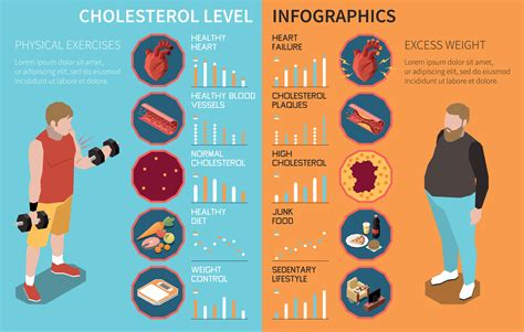 Cholesterol Level Infographics 26321650 Vector Art At Vecteezy