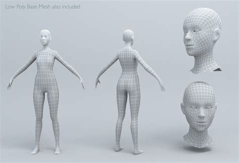 Female Body 3d Model Tạo Hình 3d Chân Thực Của Cơ Thể Nữ