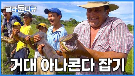 아나콘다 보여주겠다는 유쾌한 현지인 아저씨 따라갔더니 맨손으로 잡아버림│세상에서 가장 큰 뱀│베네수엘라 여행│세계테마기행│ 골라듄다큐 Youtube