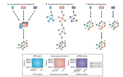 Integration Strategies Of Meta Dimensional Analysis Using Different Download Scientific Diagram