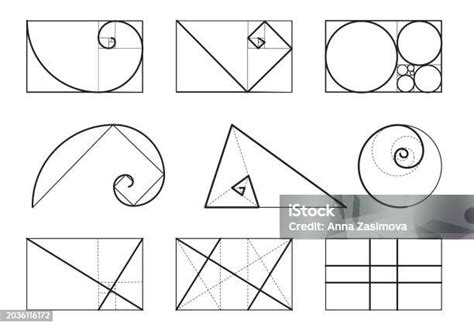 Golden Ratio Template Outline Set Logarithmic Spiral In Rectangle Frame