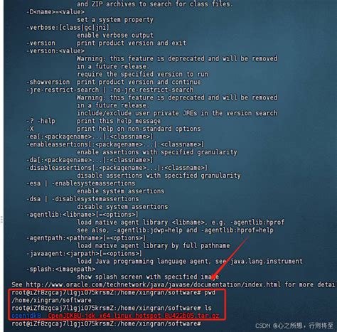 全网最详细linux安装openjdk教程linux Openjdk Csdn博客 全网最详细linux安装openjdk教程linux Openjdk Csdn博客