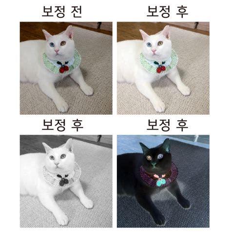 일러스트레이터에서 포토샵 없이 사진 보정하기 이미지 밝기 색상조정 흑백 색반전 까지 하는 간단한 방법 네이버 블로그