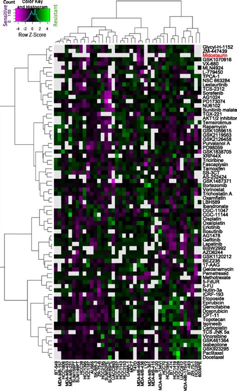 Hierarchical Clustering Of Drugs Based On Similarity Of Download