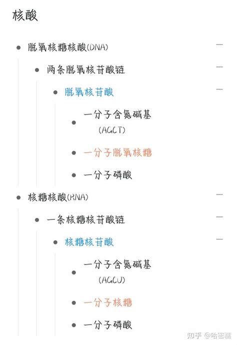脱氧核糖和核糖到底是什么？脱氧核苷酸和核糖核苷酸又是什么？ 知乎