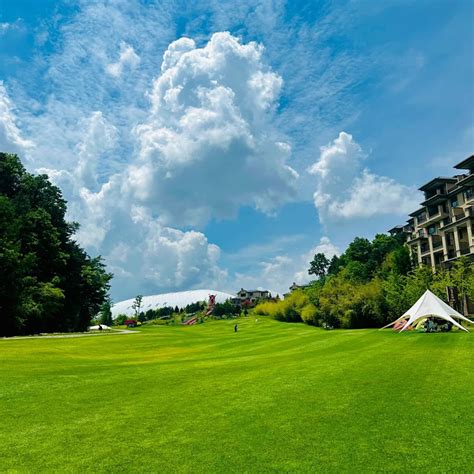 Evergreen Dwarf Grass Seed Kenya Market