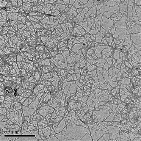 Cellulose Nanofibers Cnf Novarials