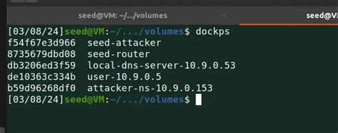 Seed Labs Tcp Ip Attack Lab Requirements By Rahul Bagul Medium