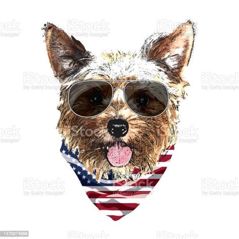요크셔 테리어 초상화 안경과 미국 국기 두건에 귀여운 멋진 개 벡터 일러스트 레이 션 강아지 개에 대한 스톡 벡터 아트 및 기타
