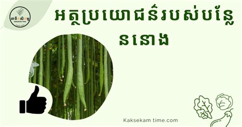 អត្ថប្រយោជន៍របស់បន្លែននោង នាទីកសិកម្ម Kaksekam Time