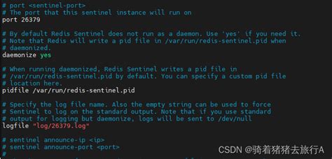 redis哨兵架构：主从切换与故障转移 csdn博客