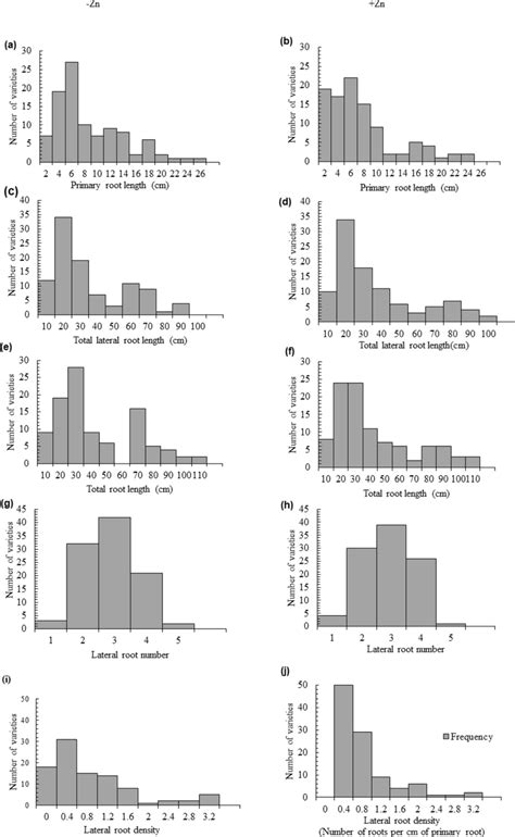 Frequency Distribution Histogram Representing Root System Architecture