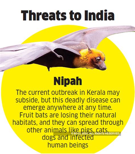 Nipah Virus Is India Ready To Handle An Epidemic The Frightful Truth Behind Nipah Outbreak