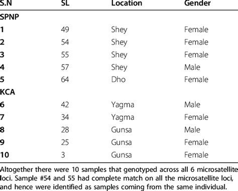 Sex Identification PCR Results Performed In Genotyped Successful Samples Download Scientific