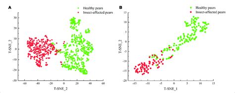 Visualization Of Output Features By T Sne A Calibration Set Features