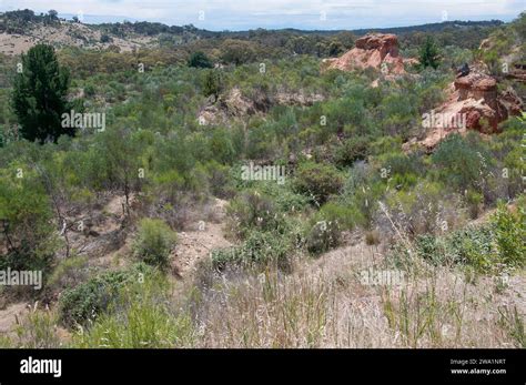 Landscape At Red Knob Was Created By High Pressure Sluicing For Gold Vaughan Springs In The
