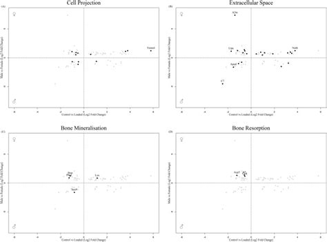 Osteocytes Contribute To Sex Specific Differences In Osteoarthritic