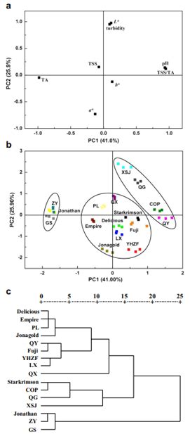 Loading Variable Plot A Score Plot B And Dendrogram Of Ca C
