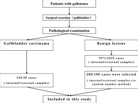 The Flowchart To Identify Patients With Gallbladder Carcinoma Gbc And