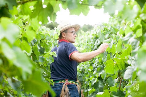 Benoît Ente Uva Wines