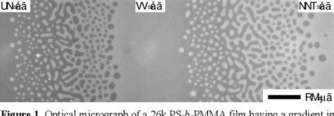 Figure 1 From Characterization Of Symmetric Diblock Copolymers With