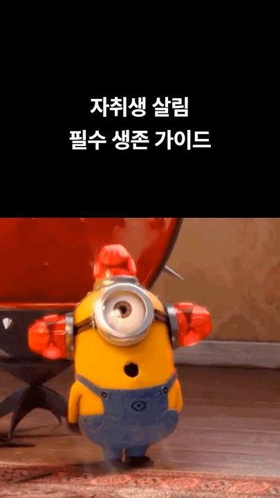 자취생 필수 생존 가이드 일상생활 지식 꿀팁 절약 Youtube