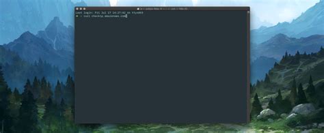 Get Your Public Ip From Command Line