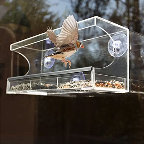 Wholesale Clear Acrylic Window Squirrel Proof Bird Feeder Buy Wholesale Acrylic Window Bird