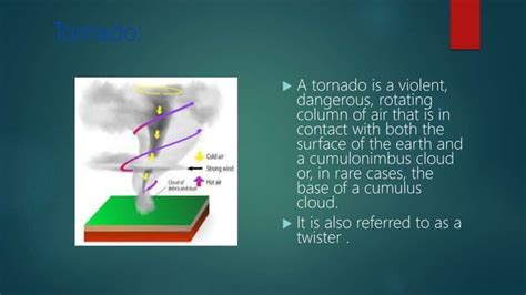 Disaster Preparedness Mitigation PPTX