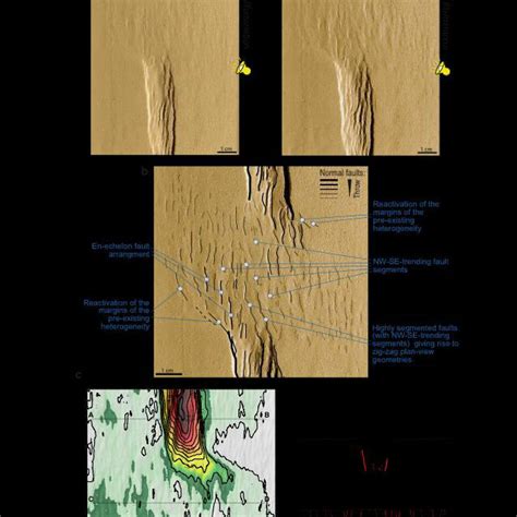 Analog Modeling Setup A Top View Of The Experimental Apparatus See Download Scientific