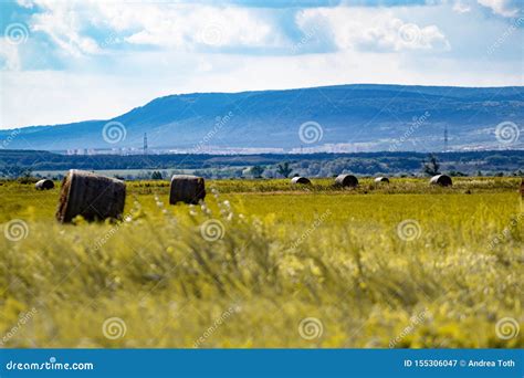 Hay Bale On The Meadow Farming Landscape With Relaxing Colours Stock Image Image Of