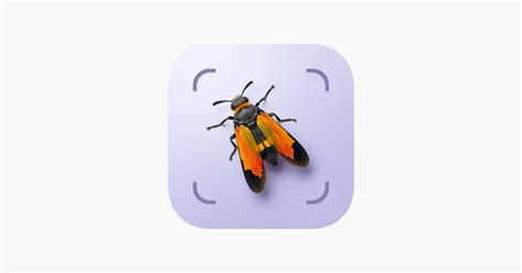 ‎bug Id Insect Identifier On The App Store