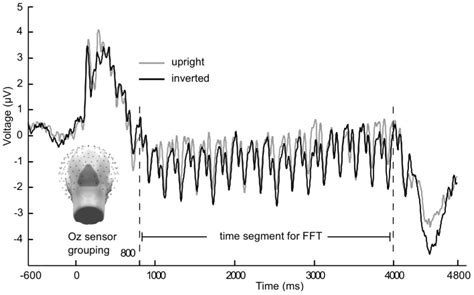 Grand Mean N 21 Time Course Of The Steady State Visually Evoked Download Scientific Diagram