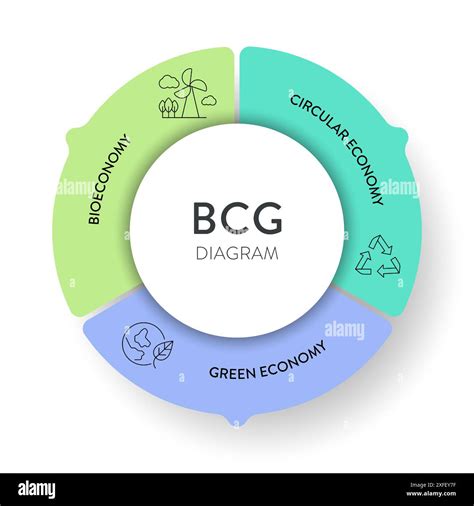 Bcg Model Strategy Infographic Diagram Chart Banner Template For