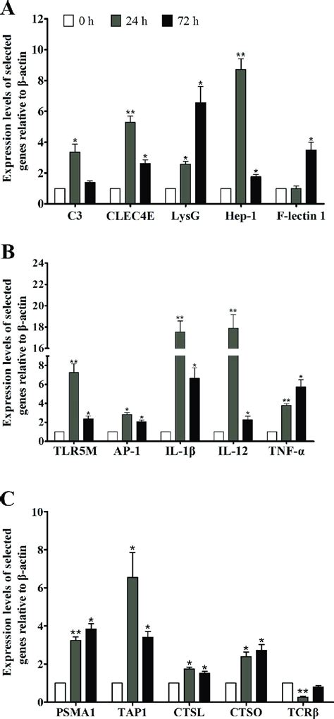 Real Time Pcr Analysis Of Selected Degs Real Time Pcr Was Used To