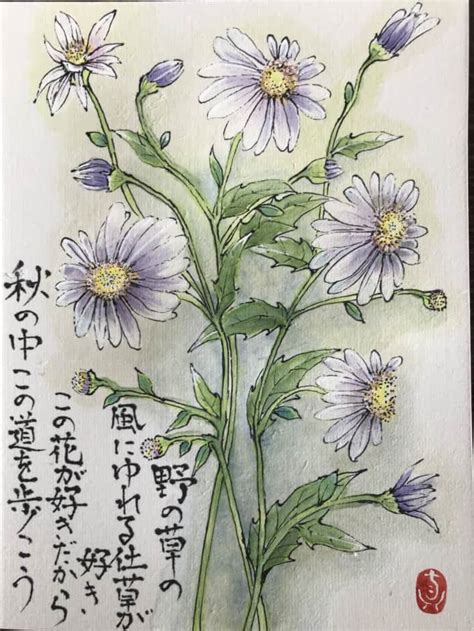 ノコンギク 絵手紙 交流ひろば てがみ倶楽部