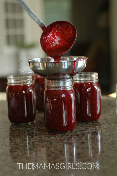 Raspberry Pear Jam Themamasgirls