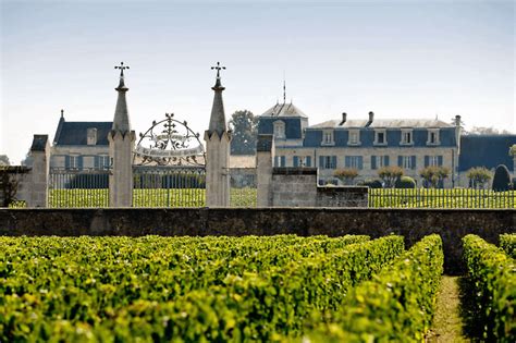 프랑스 레드 와인 까베르네 소비뇽 피노누아 메를로 시라 포도 품종 정리