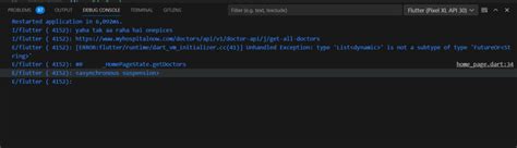 Error Flutterruntimedartvminitializercc41 Unhandled Exception