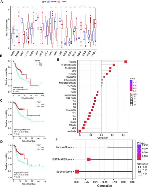 a correlation between psat1 expression levels and cancer patient