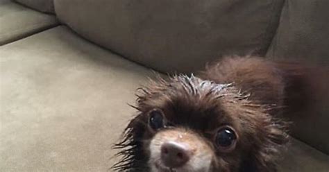 I Just Really Enjoyed This Post So I Thought You Might Too Album On Imgur